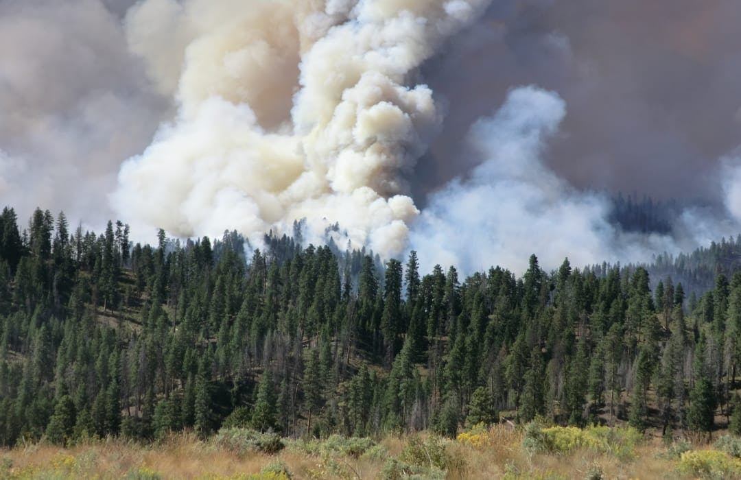 Porta Potty & Temporary Fencing Rentals in Boise & Pocatello